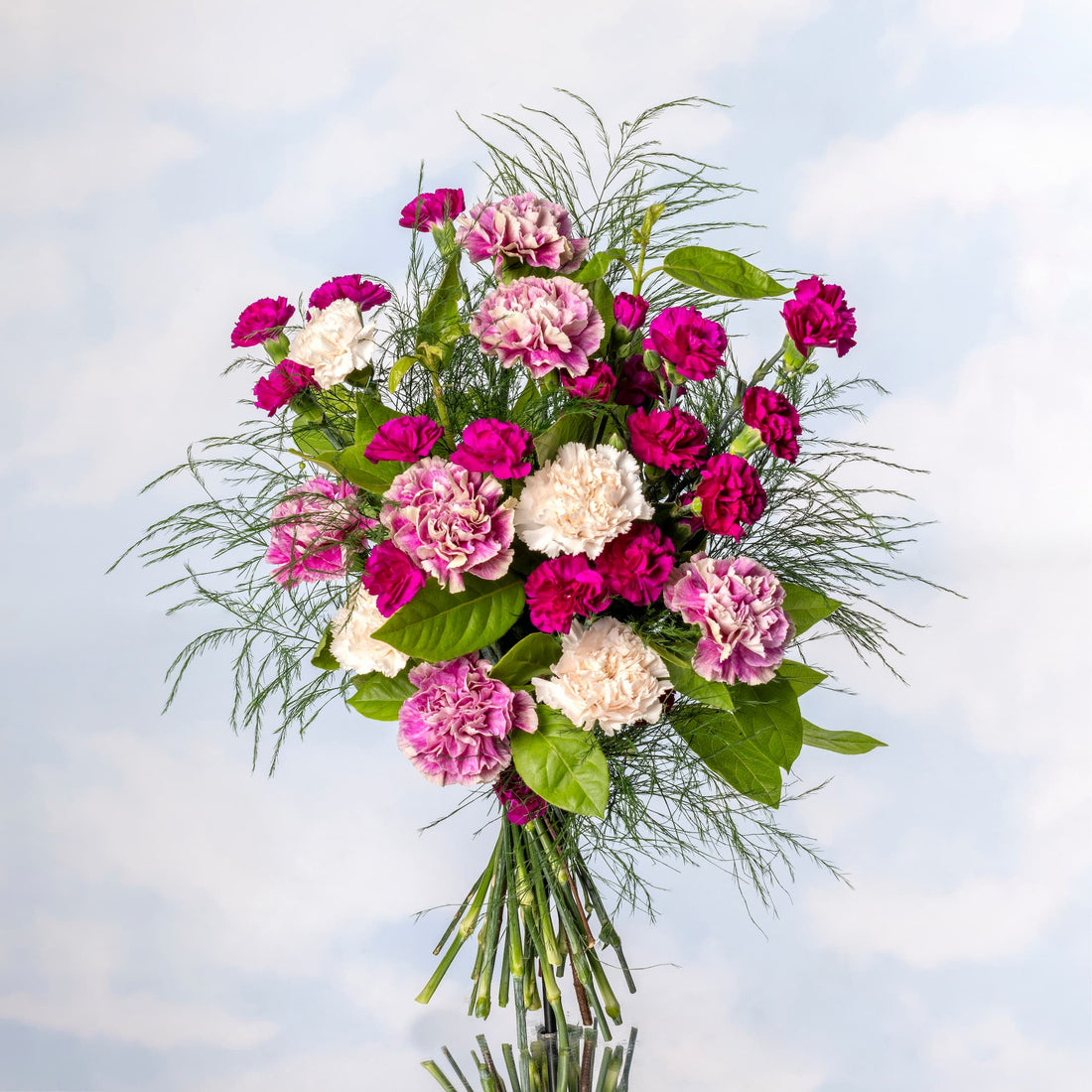 Ramo de claveles y clavellinas rosas: Ramo de claveles y clavellinas ...